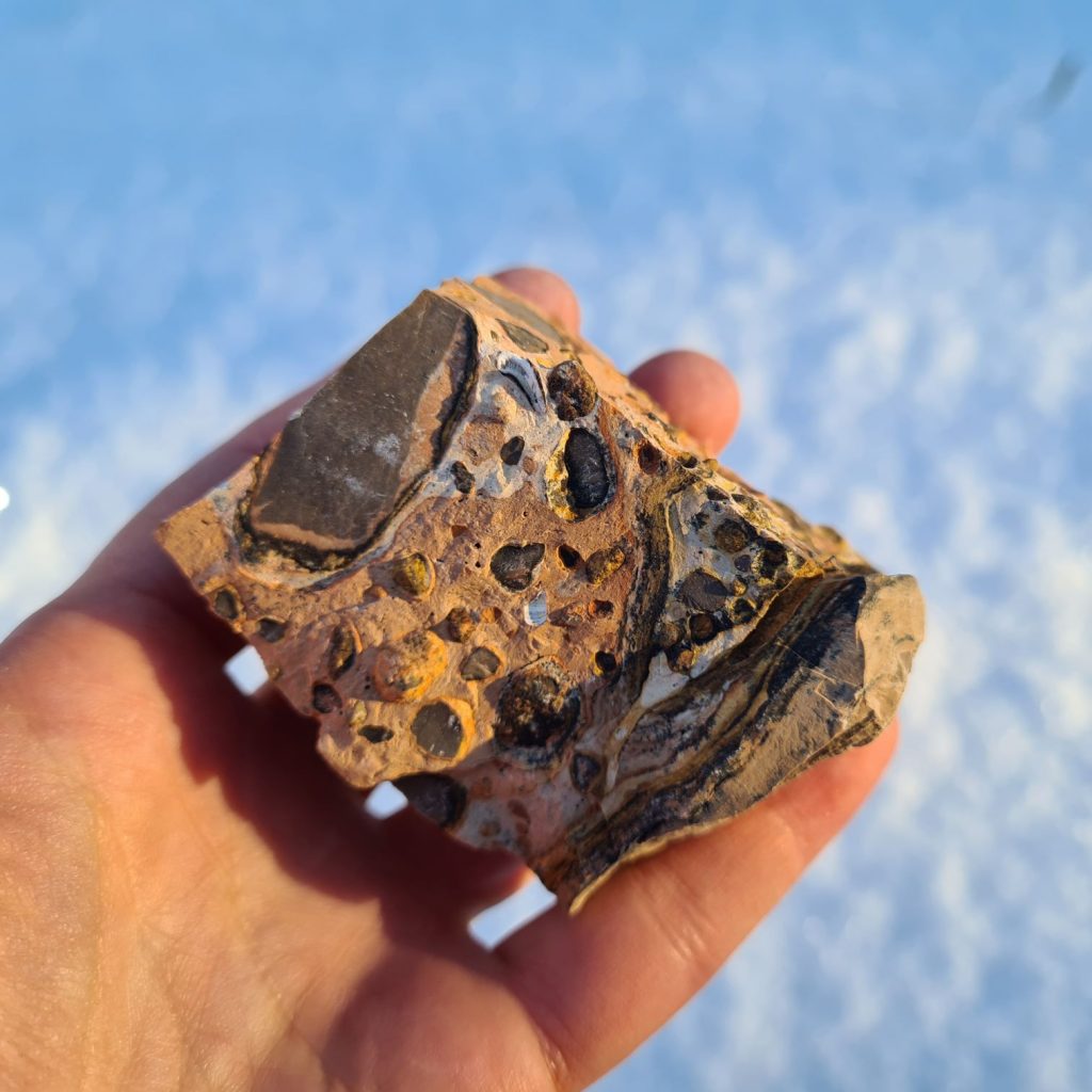 Leopardinis jaspis 182 g - Gydomieji Akmenys